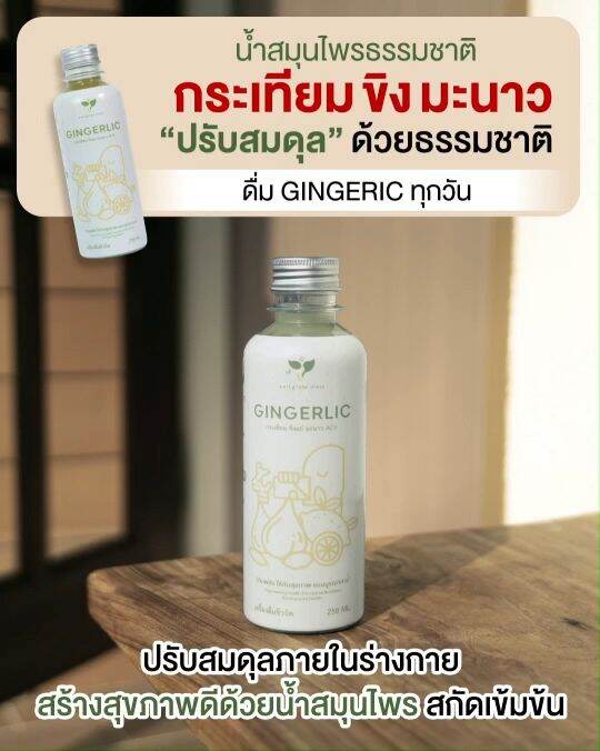 GINGERLIC (2 ขวด) น้ำกระเทียมสกัดเข้มข้น น้ำสมุนไพรสกัดเย็น กระเทียม ขิง มะนาว น้ำแอปเปิ้ลไซ ...