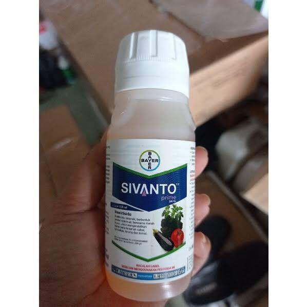 insektisida SIVANTO PRIME 200SL 100ml | Lazada Indonesia