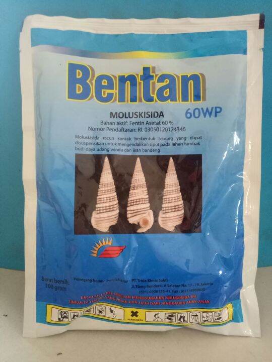 Bentan molukisida basmi keong sawah dan siput netto 100 gram | Lazada ...