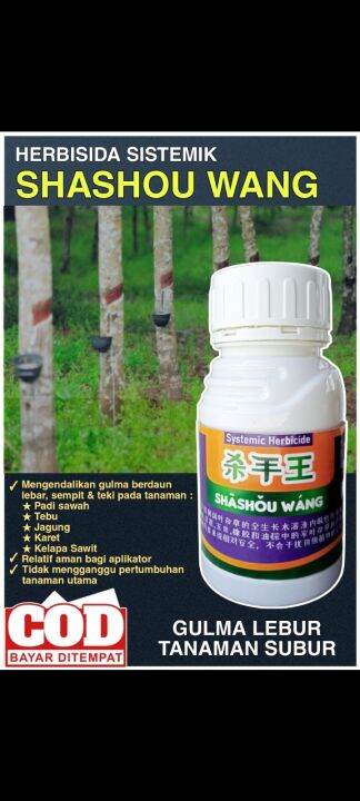 Shashou Wang Pembasmi gUlma berdaun lebar atau sempit | Lazada Indonesia
