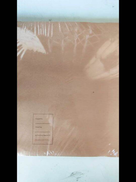 Brown Minute File 150gsm 100's Brown Paper File/ Fail Kerajaan/ Brown ...