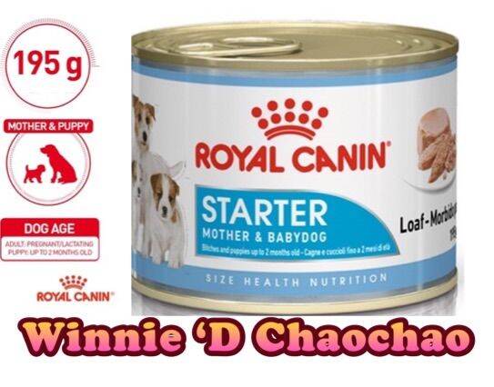 Royal Canin Mother & Babydog 195g Starter Mousse Wet Dog Food - Canine Health Nutrition | Lazada PH