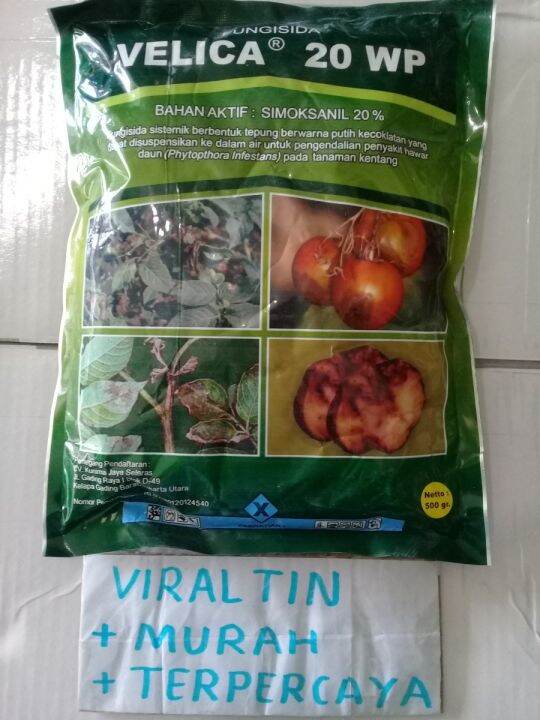 fungisida velica 500 gr mengobati busuk batang dan daun pada tanaman ...