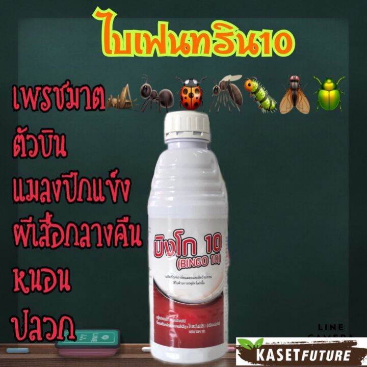 บิงโก10 ไบเฟนทริน10%W/V EC น๊อคเย็น ออกฤิทธิ์เร็ว แมลงบิน | Lazada.co.th