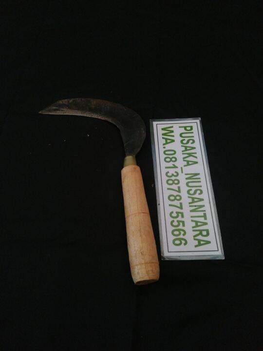 arit padi rumput super | Lazada Indonesia