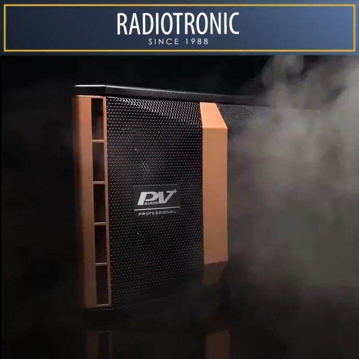 PV Audio 150-250W 10" Speaker System 1 Pair V50 | Lazada