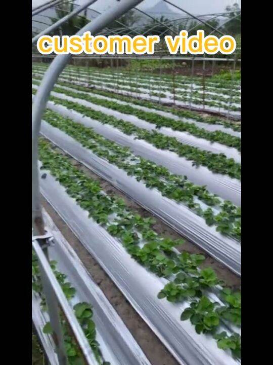 Plastic Mulch 4ft x 400m 1.2m x 400m HEAVY DUTY JAPAN QUALITY Microns ...