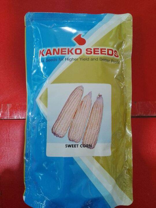 SWEET CORN SEEDS SWEET CORN OPV SEEDS (500GRAMS)KANEKO SEEDS | Lazada PH
