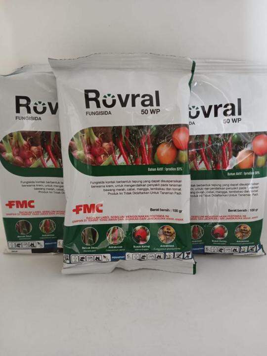 Rovral 50wp 100g fungisida | Lazada Indonesia