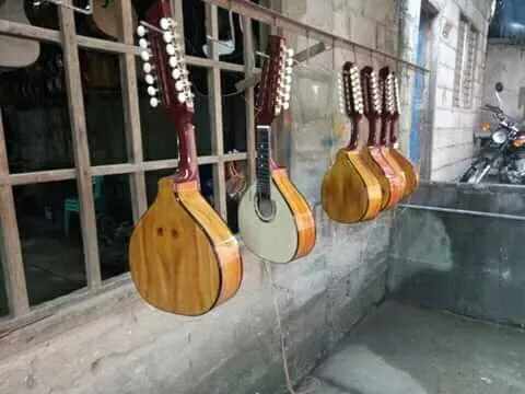 banduria,octavina and laud. | Lazada PH