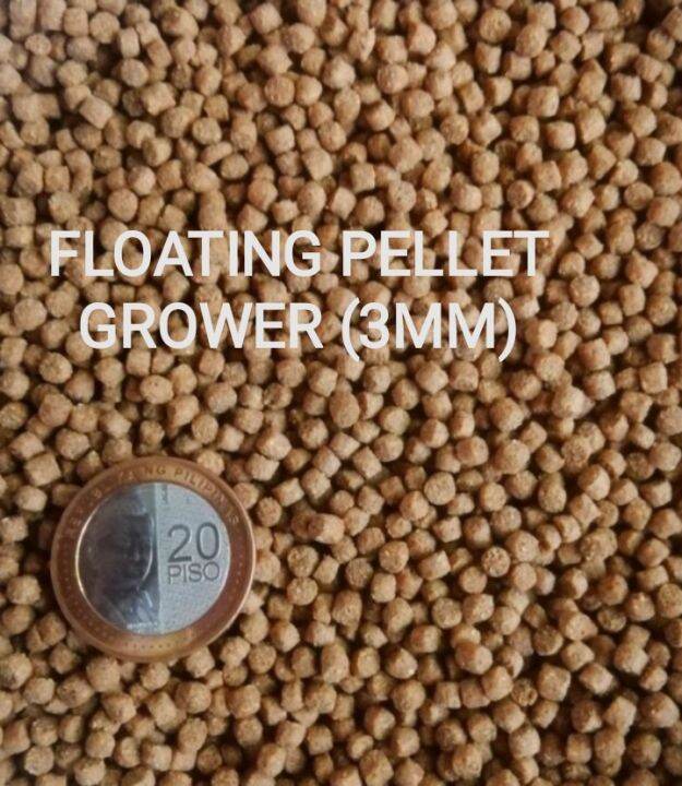 Tateh Premium Grower Float Koi Food Pellet(1Kg)(500g) | Lazada PH