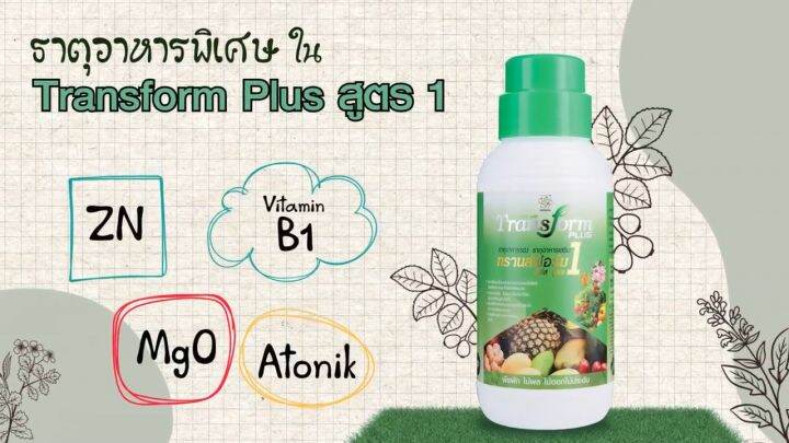 TRANSFORM PLUS 1 ธาตุอาหารรองและธาตุอาหารเสริมพืช ประกอบด้วยธาตุอาหาร ...