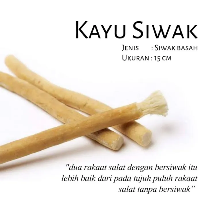 Siwak sewak miswak / Siwak sunnah / Seewak | Lazada Indonesia