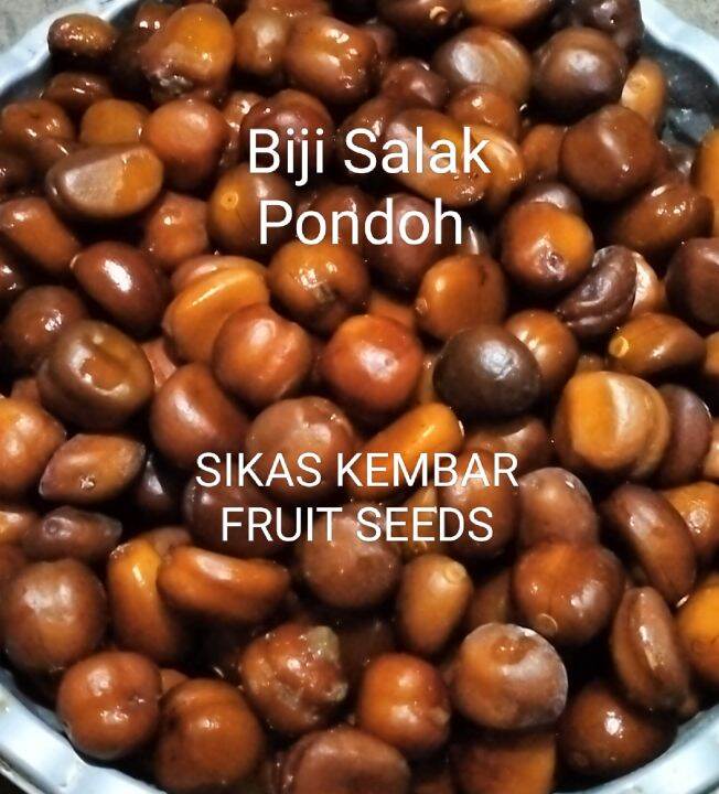 biji salak pondoh 1kg isi150biji | Lazada Indonesia