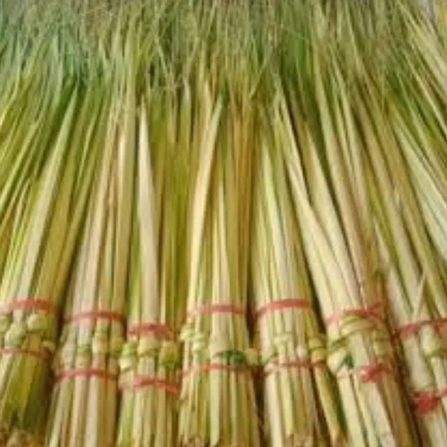 JANUR DAUN KELAPA MUDA KUNING ISI 10PCS UNTUK KERAJINAN SEPERTI JANUR ...