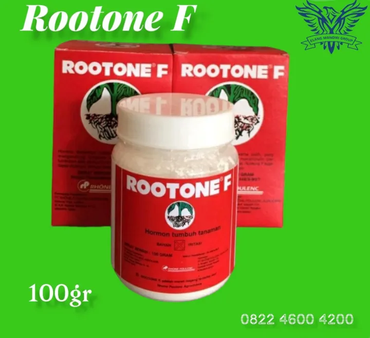 Rootone F 100gr Hormon Pertumbuhan Akar | Lazada Indonesia