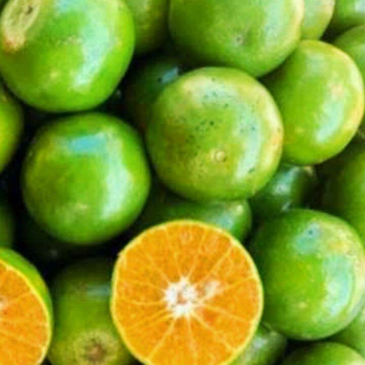 Buah Jeruk Siam Semboro/ Jeruk Siam Jawa Buah Segar IBAZA fruitsBOX | Lazada Indonesia