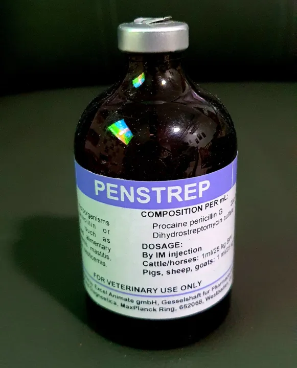 penstrep 100ml | Lazada PH