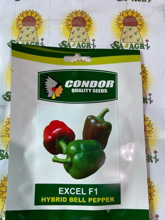 Excel F1 Hybrid Bell Pepper Seeds (50 seeds) by Condor | Lazada PH