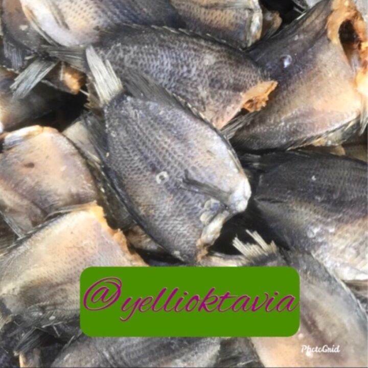 Ikan Sapek Besar 100 gr | Lazada Indonesia