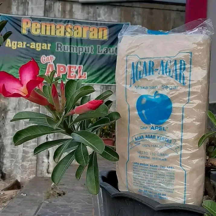 Agar Agar Kertas Rumput Laut Cap Apel | Lazada Indonesia