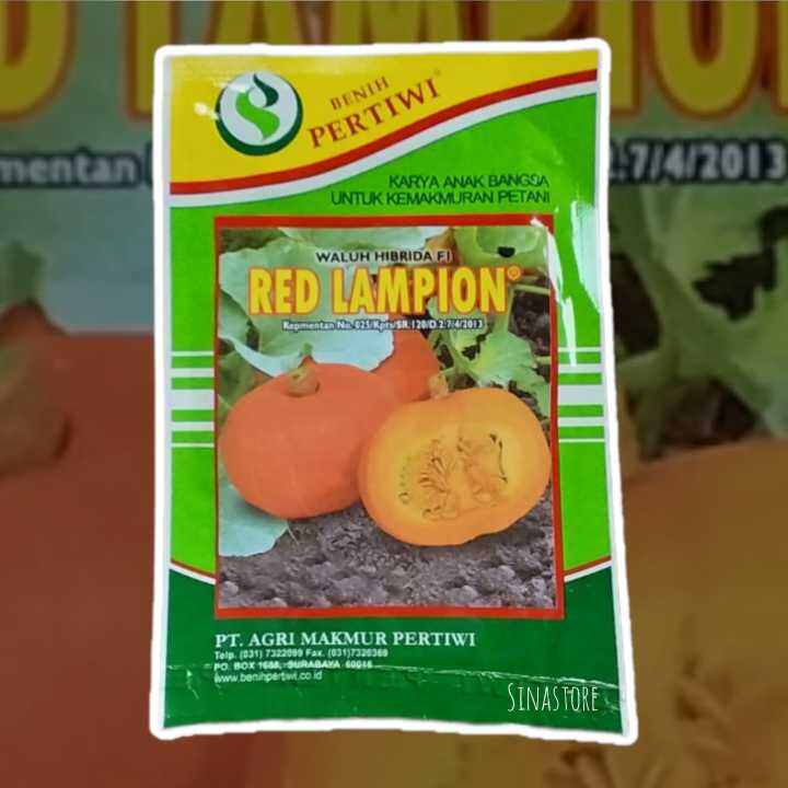 Benih Kabocha Oren/Labu Jepang F1 Red Lampion Original Kemasan Pabrik ...