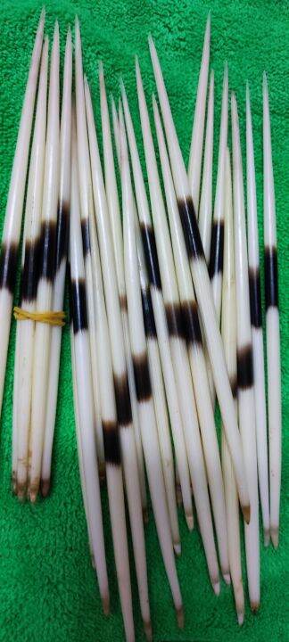 Duri Landak Raya Original (Porcupine Thorn) | Lazada