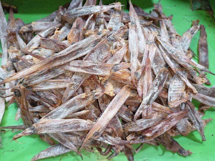 D&A Driedfish Pusit Ballpen (WHOLE SQUID) | Lazada PH