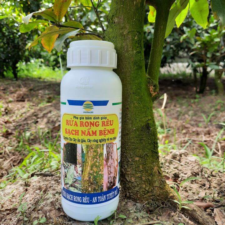 Thuốc TẨY RONG RÊU cho cây trồng giúp diệt Rong rêu, Nấm móc, Địa y ...