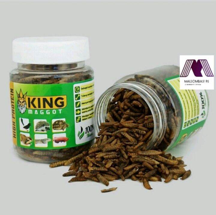 KING MAGGOT Super Magot Kering 50gr Pakan Hewan Burung Murai Hamster ...
