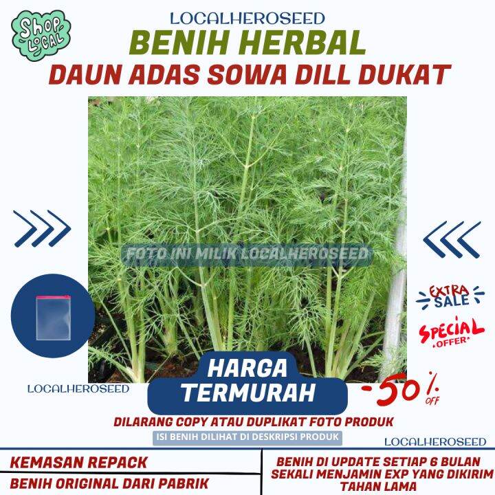 Benih Seribuan Daun Adas Sowa Unggul Dill Dukat Bibit Sayuran Herbal ...