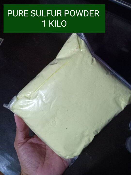 PURE SULFUR POWDER sold per 1/2 kilo | Lazada PH