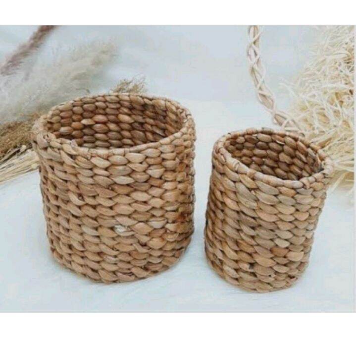 eceng gondok kering isi 50 batang bahan kerajinan tangan storage ...