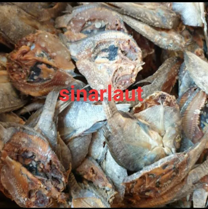ikan asin MUJAIR BELAH 250gram/500grm/1kg | Lazada Indonesia