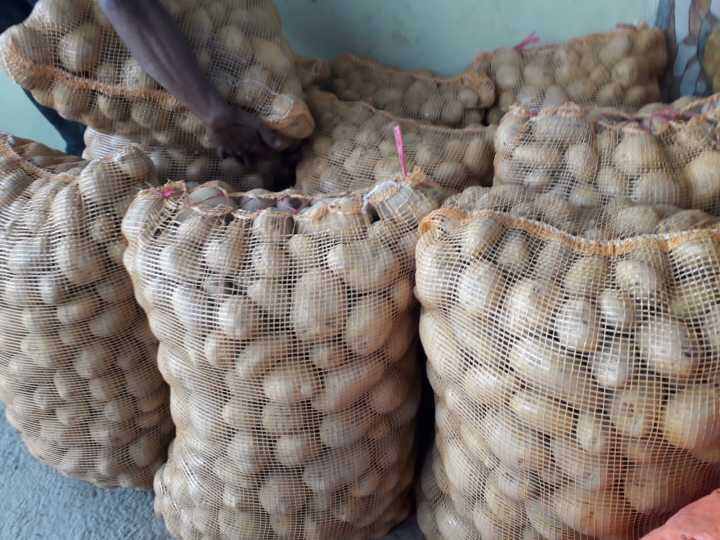 kentang granola ukuran besar | Lazada Indonesia