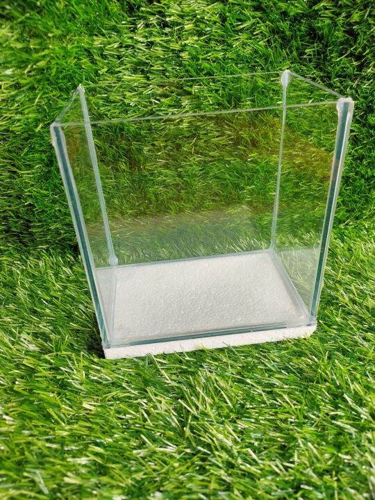 BETTA TANK GLASS FOR YOUR BETTA FISH 6*4*6 INCHES | Lazada PH