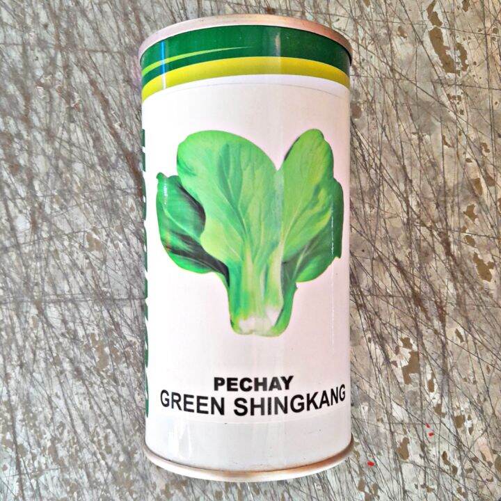 GREEN SHINGKANG PECHAY SEEDS / PAKCHOY OPV (100 GRAMS) PETCHAY by ...