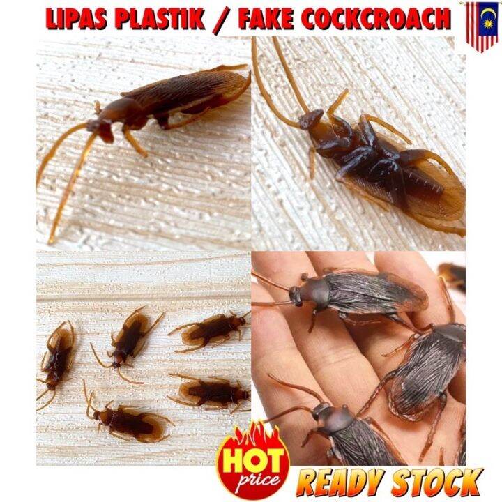 Lipas Palsu. Realistic Fake Cockroach. Practical Joke Prop Toys | Lazada