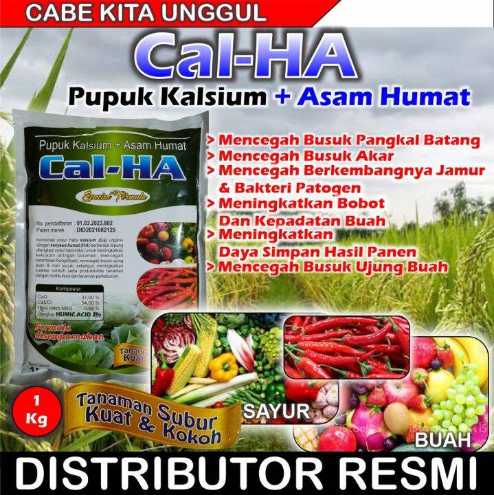 Pupuk CAL- HA (KALSIUM+ASAM HUMAT) SPECIAL FORMULA 1KG | Lazada Indonesia