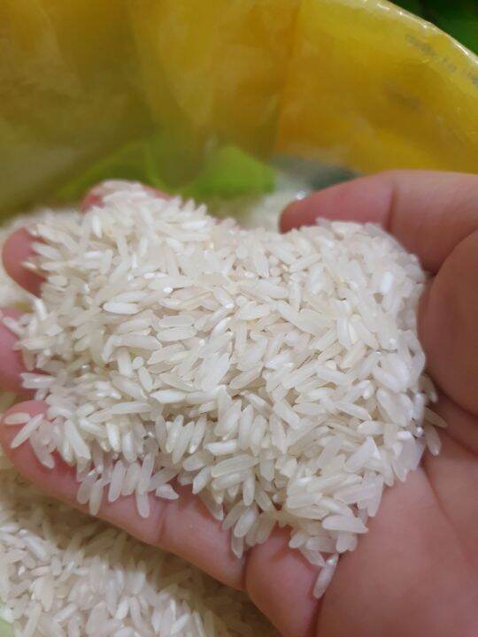 Beras Medium 1 Kg Repack | Lazada Indonesia