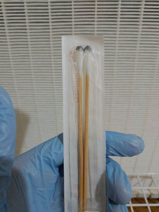 Spore Mushroom Cubes | Lazada PH