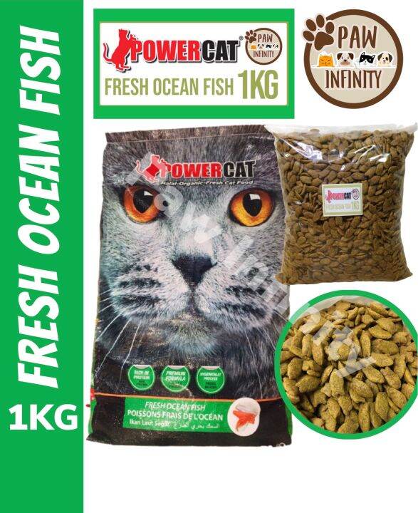 PowerCat Fresh Ocean Fish 1KG Repacked Cat Food Dry Food | Lazada PH