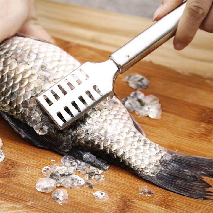 LUOWAN Fish Scaler Remover,Stainless Steel Sawtooth Fish Descaler | Lazada