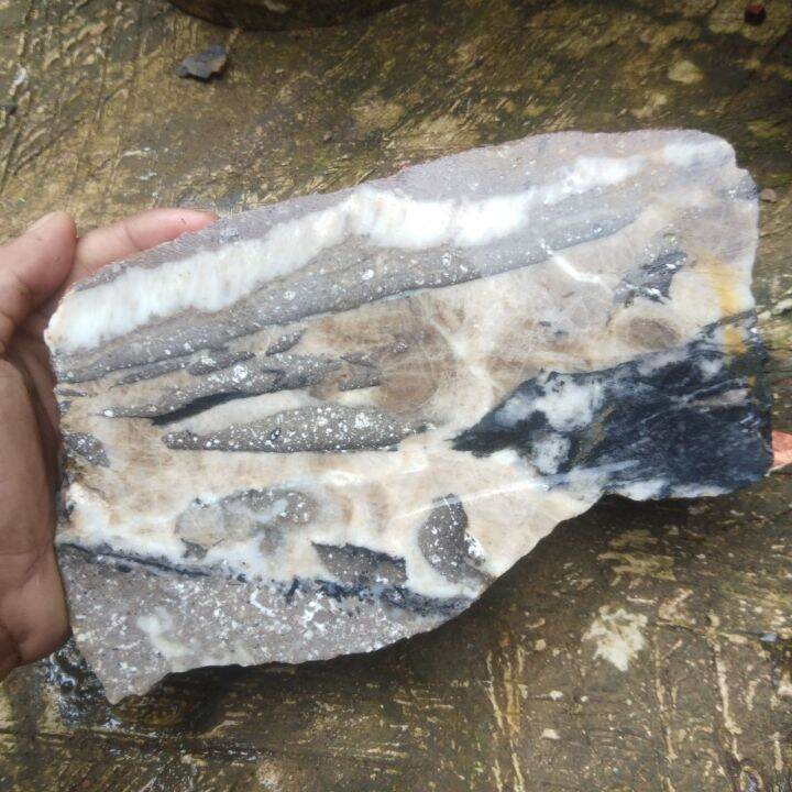 batu jasfer bermotif | Lazada Indonesia