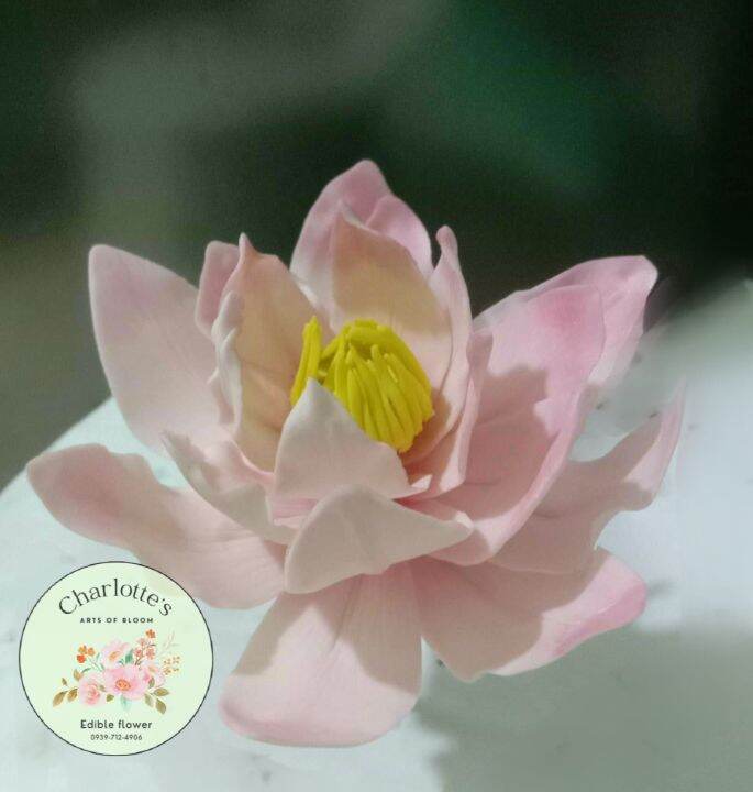 EDIBLE GUMPASTE LOTUS/LILY CAKE TOPPER | Lazada PH