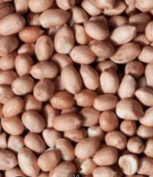 Raw Peanut with skin 1 kilo | Lazada PH