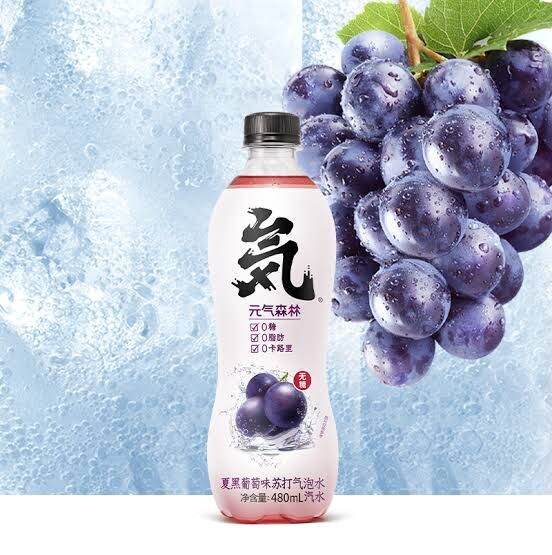 Genki Forest Sparkling Water | Lazada PH