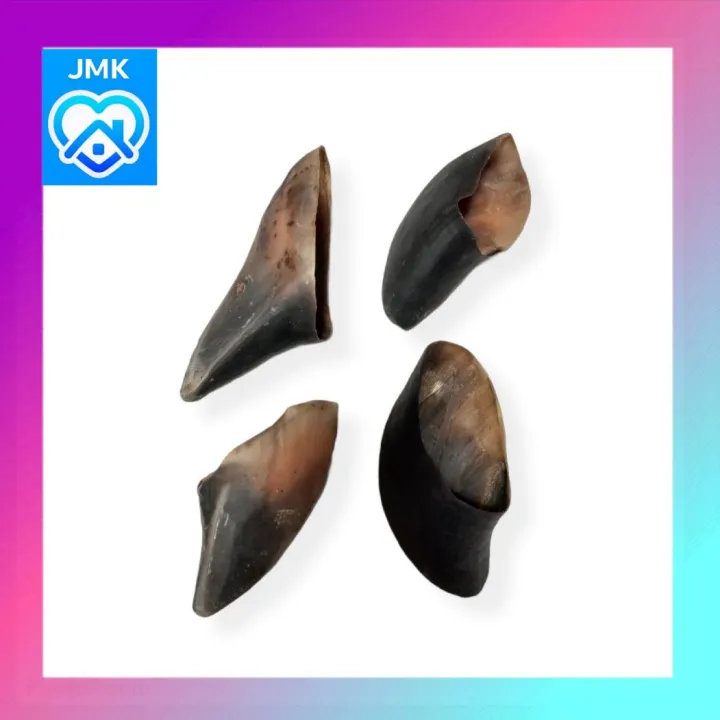JMK Real Carabao Hoof/Hooves Teether/Chew Toy For Puppies 2's/pack ...