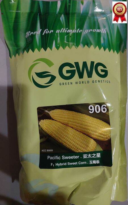 GWG 906 SWEET CORN 500GM | Lazada