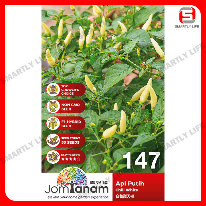 Chili White Api Putih Benih Cili Putih Api Putih 白色指天椒 Jom Tanam Seeds ...